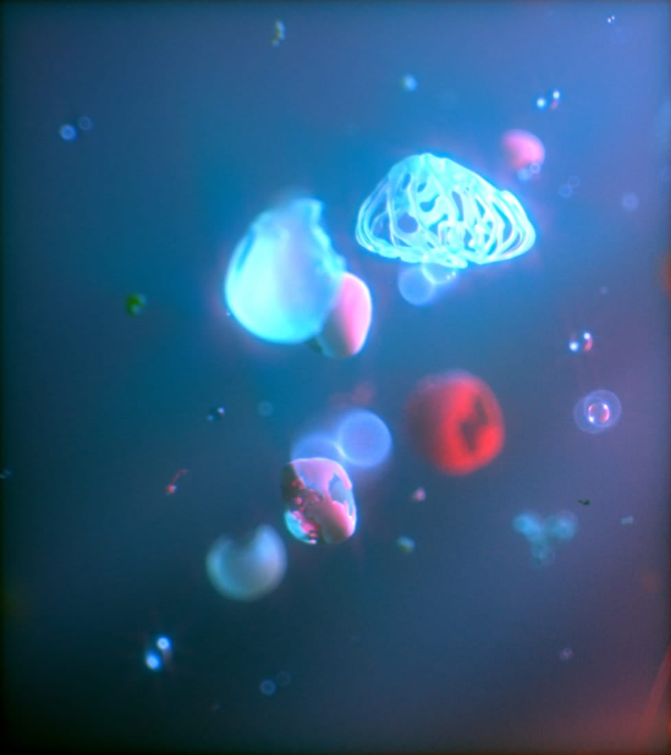 Pulsar - Project - Evermotion
